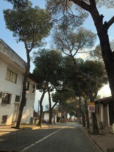 Birgi Gezilecek Yerler - Ödemiş Birgi Köyü Tarihi ve Turistik Noktaları